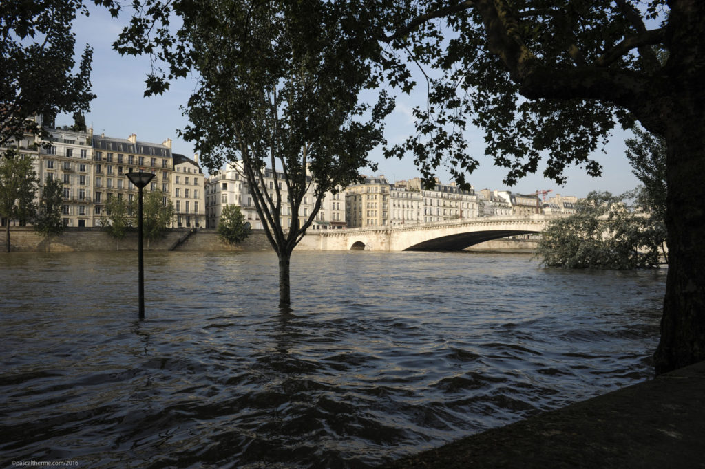 Inondations Paris- 6 Juin 2016 - Pascal Therme